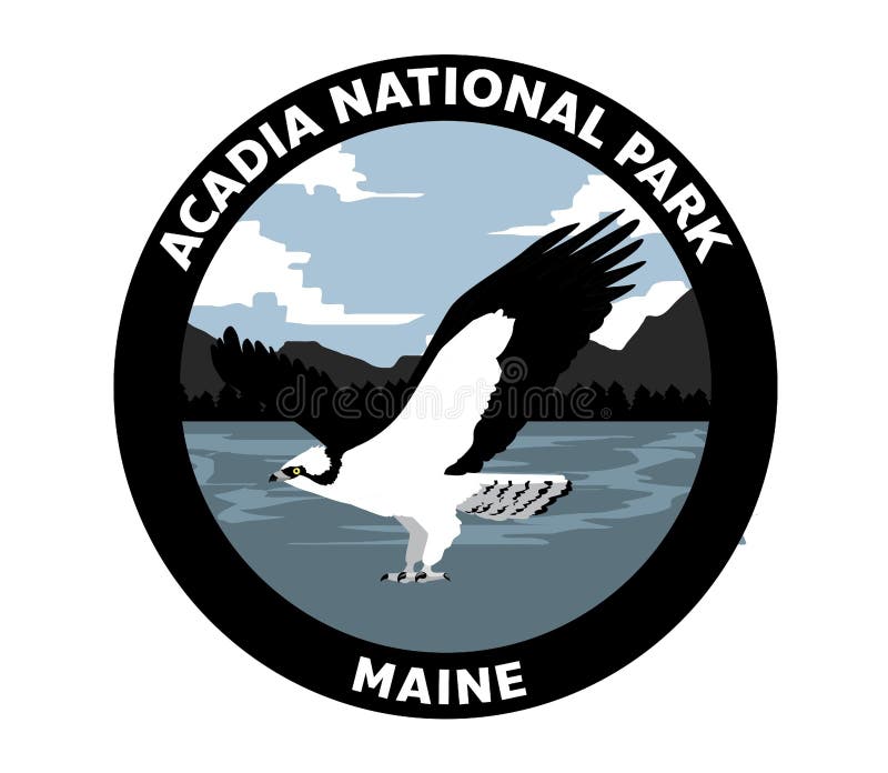 Acadia National Park Maine Osprey Vector Logo Stock Vector ...
