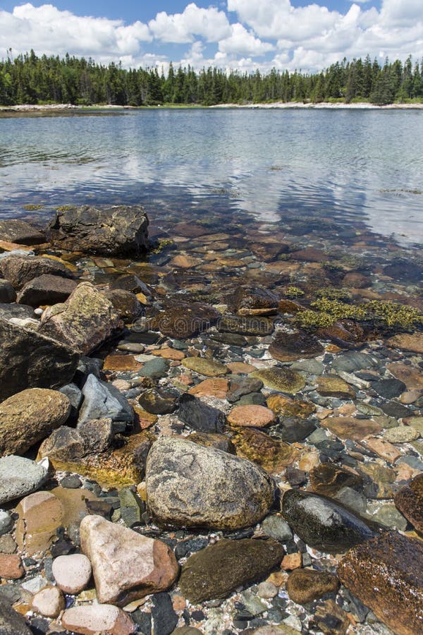 Acadia Shoreline - Trees in Background Stock Photo - Image of rocks ...