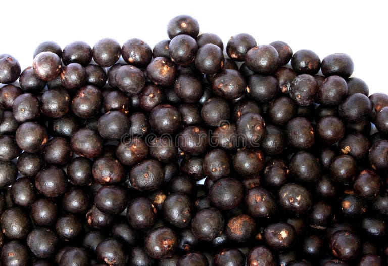 Acai stock image. Image of brazil, bunch, bundle, seeds - 10368849