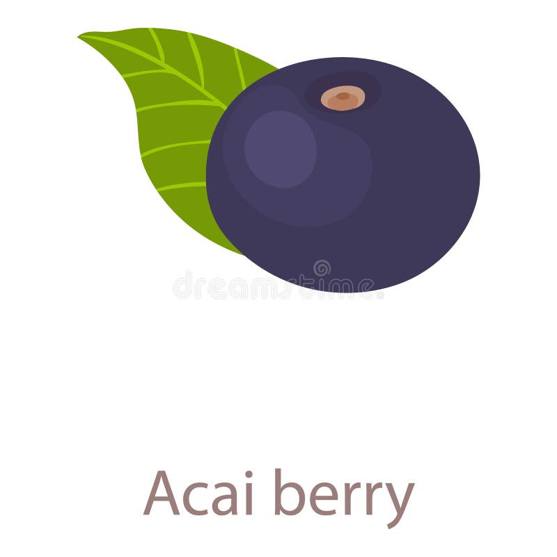 Acai Berry Icon, Isometric 3d Style Stock Vector - Illustration of ...