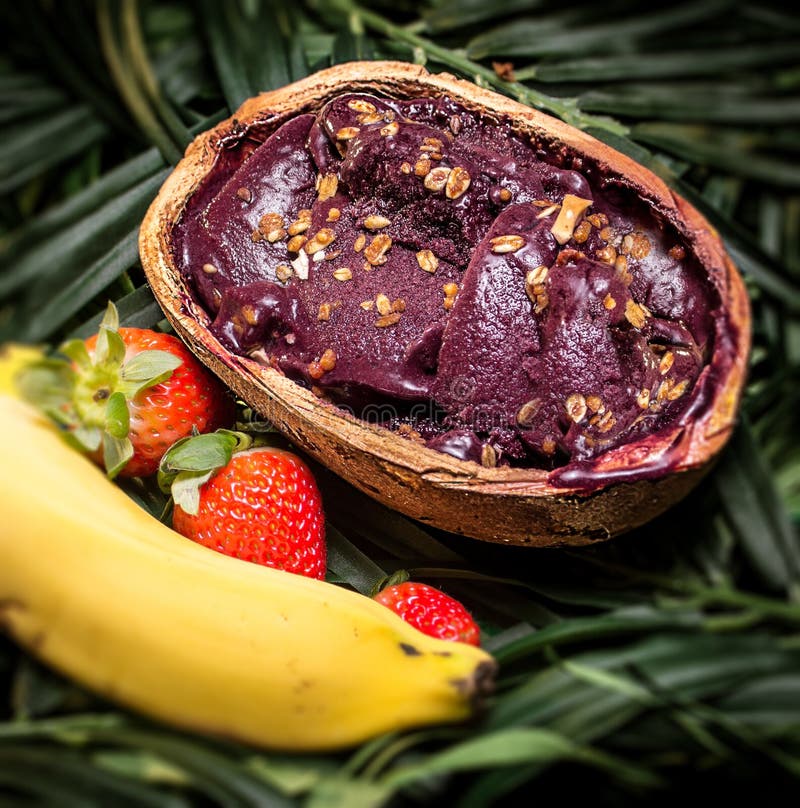 Acai stock image. Image of tree, healthy, health, acai - 44167143