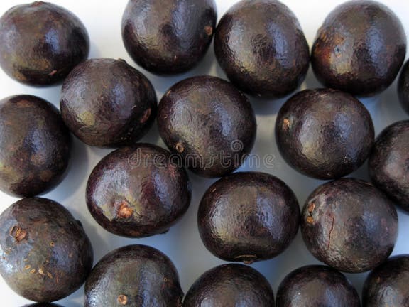 Acai seeds stock image. Image of fruit, immature, background - 17029813