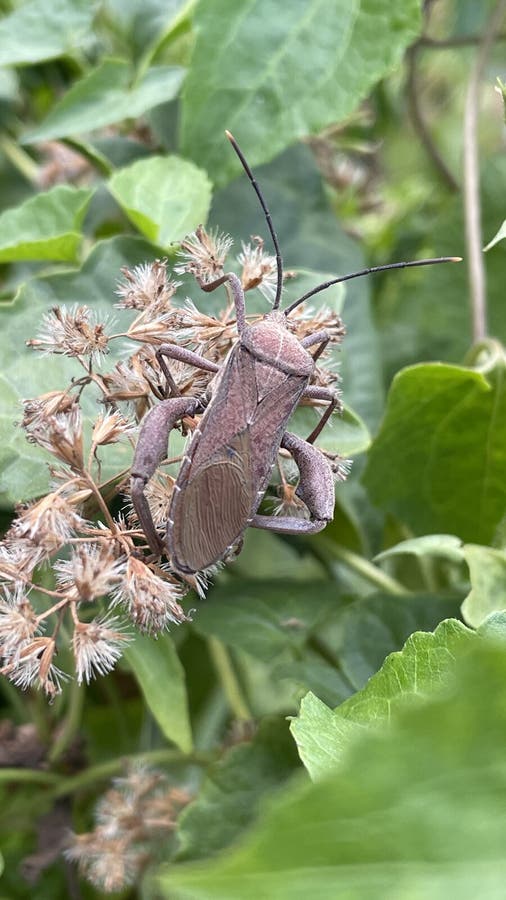 18 25 Mm Stock Photos - Free & Royalty-Free Stock Photos from Dreamstime