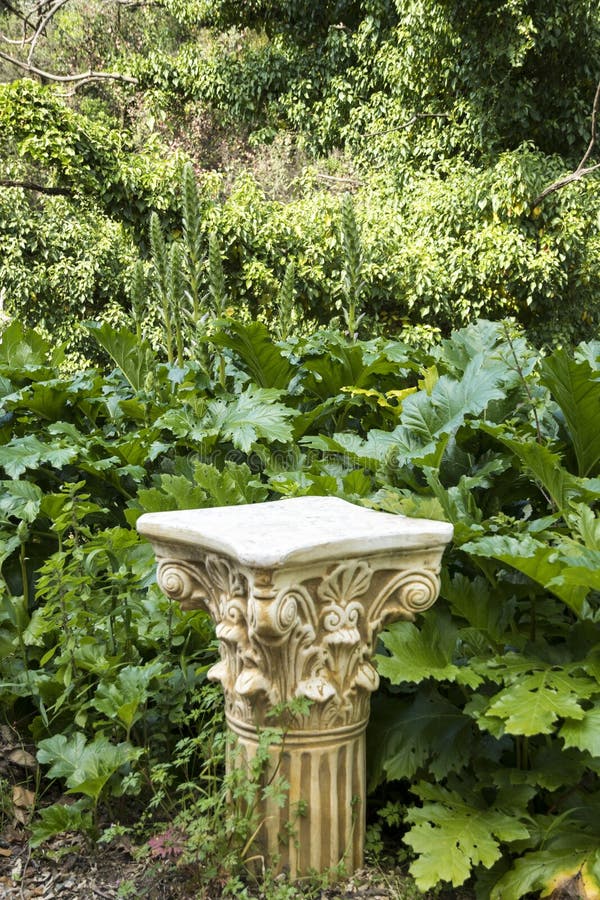 Column with Leaves of Acanthus and the Real Plants Behind the Column ...