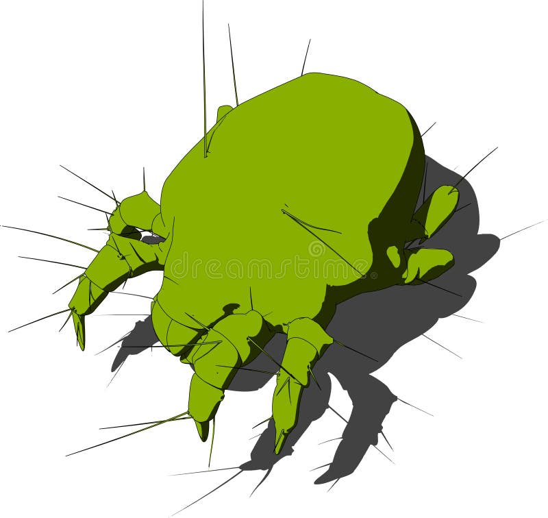 Acaro Illustrazioni, Vettoriali E Clipart Stock – (5,719 Illustrazioni ...