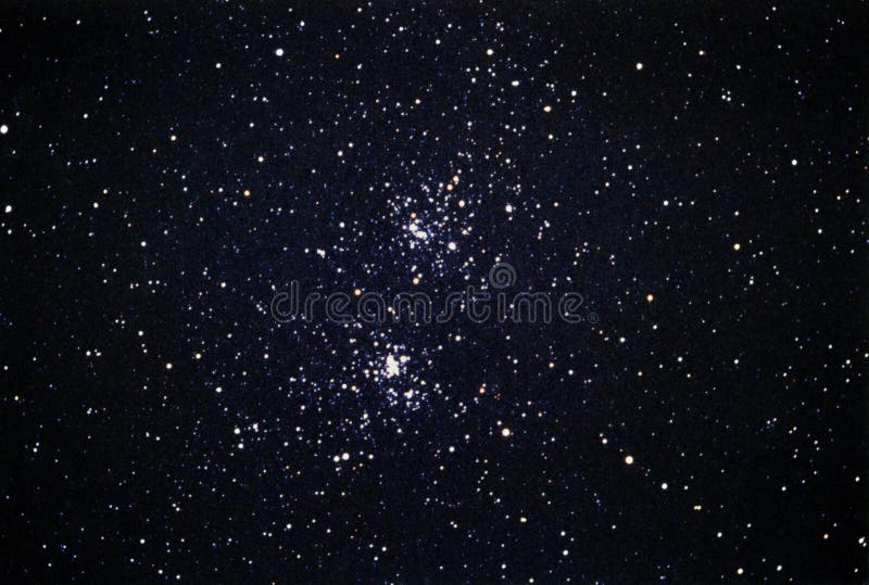 Red Star Cluster Flower stock photo. Image of close, nature - 43926734