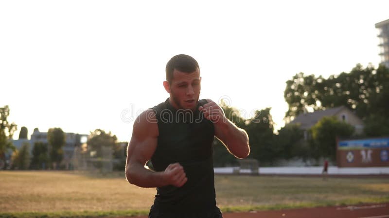 Accelerated Footage of an Active, Angry Male Boxer while Training ...