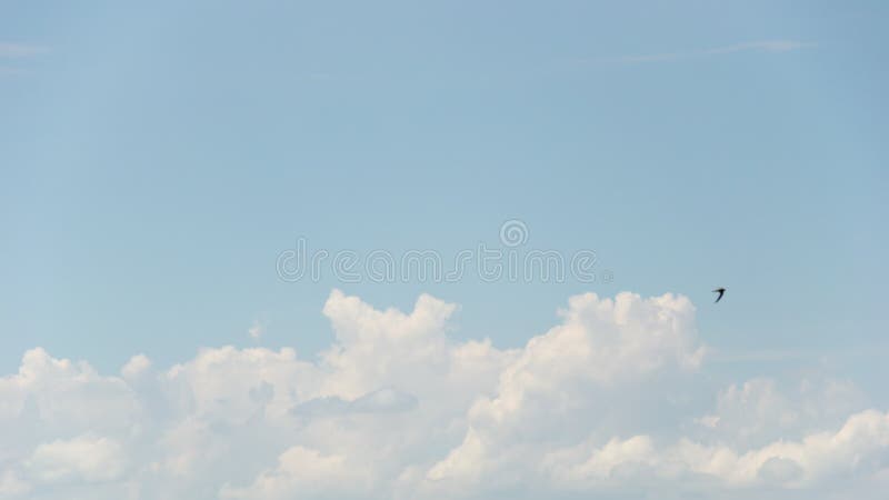 Accelerated Movement of Clouds in the Sky. Timelapse Stock Video ...