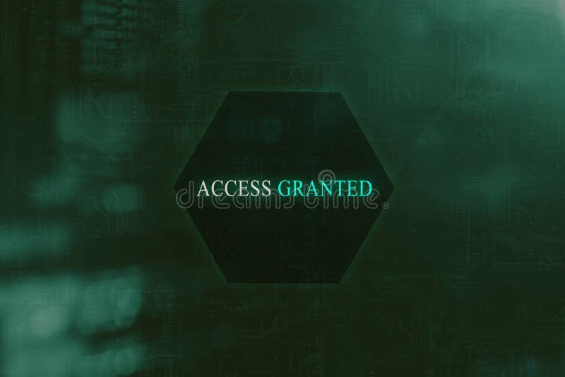 `Access Granted` at Computer System Screen Stock Illustration ...