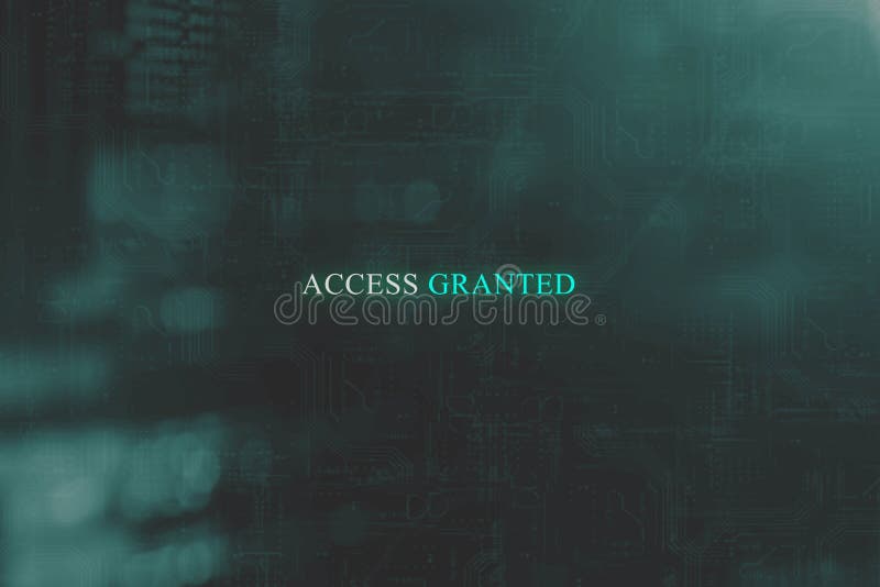 `Access Granted` at Computer System Screen Stock Illustration ...