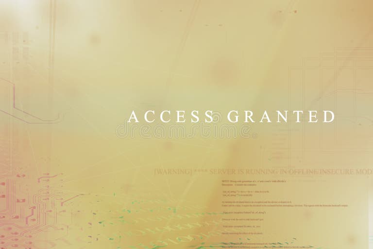`Access Granted` at Computer System Screen Stock Illustration ...