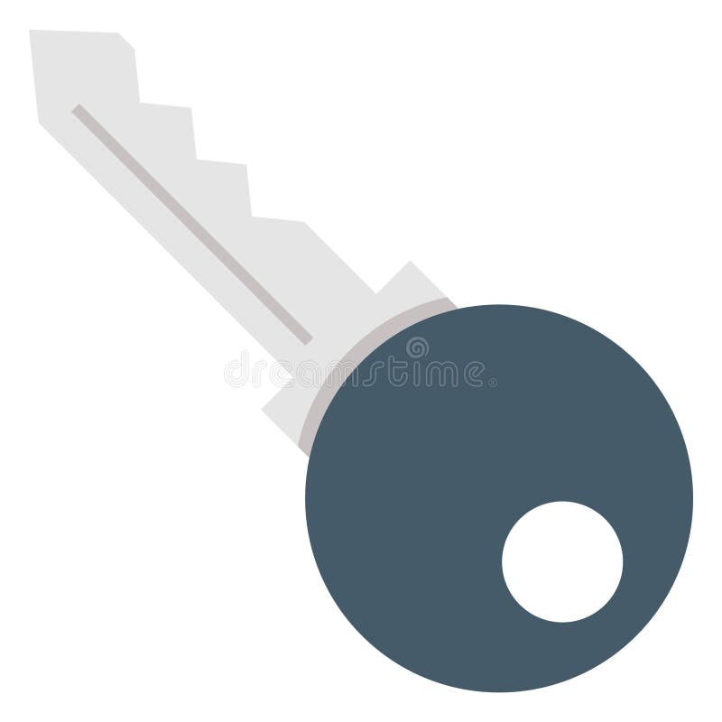 Access Key, Key, Color Vector Icon Which Can Easily Modify or Edit ...
