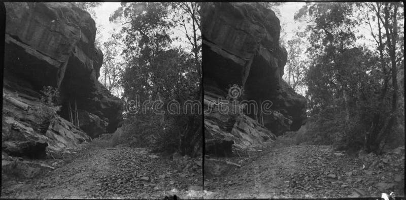 Access Ladders To The Base Of Appin Falls 1905-1907 Picture. Image ...