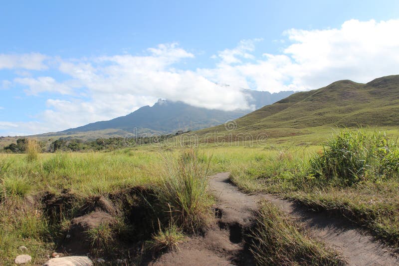 Mount Roraima, between Brazil, Venezuela and Guyana Stock Image - Image ...