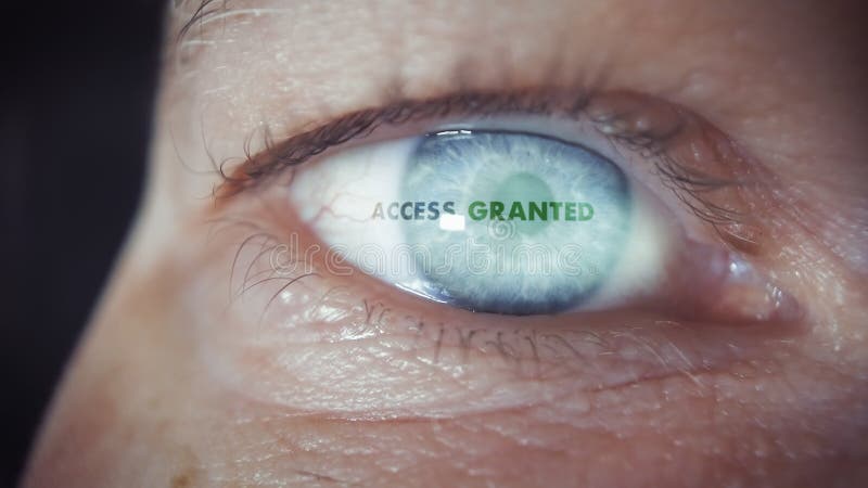 Access Successfully Granted during an Iris Eye Scan Stock Photo - Image ...