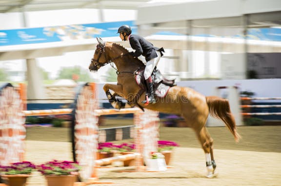 Acción De La JI Al Shaqab 2013 Fotografía editorial - Imagen de katar ...
