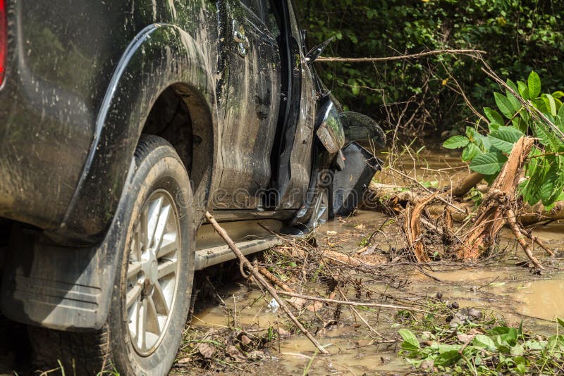 Accident Car Crash on an Suburban Street Against a Tree. Stock Image ...
