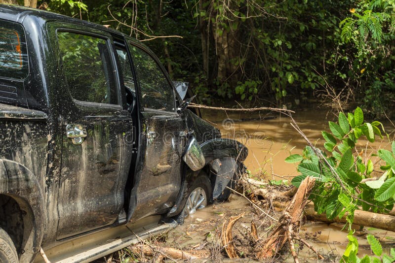 Car crash tree stock photo. Image of crash, metal, drunk - 72443496