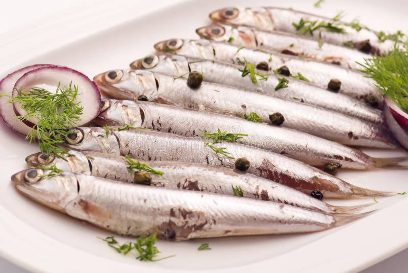 Acciughe Con Erbe Aromatiche Immagine Stock - Immagine di occhio ...