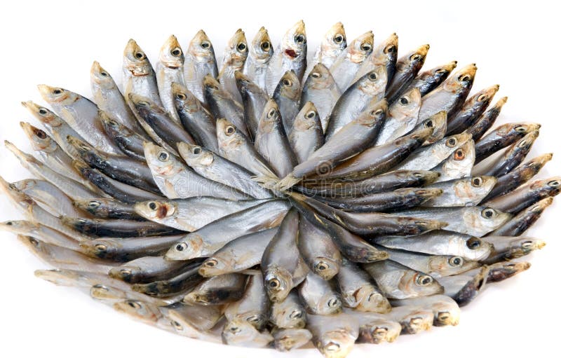 Acciuga immagine stock. Immagine di ingrediente, guasto - 18336145