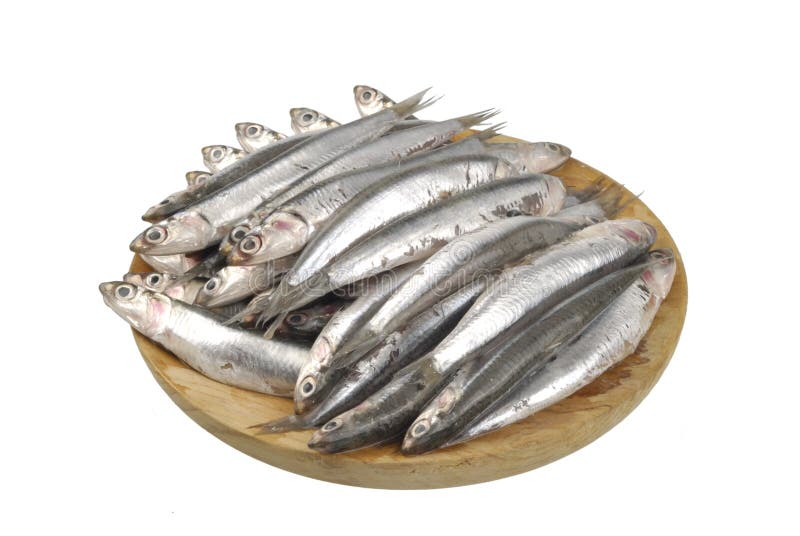 Acciuga immagine stock. Immagine di ingrediente, guasto - 18336145