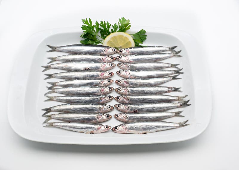 Acciuga Mediterranea Fresca E Cruda Su Sfondo Bianco Fotografia Stock ...