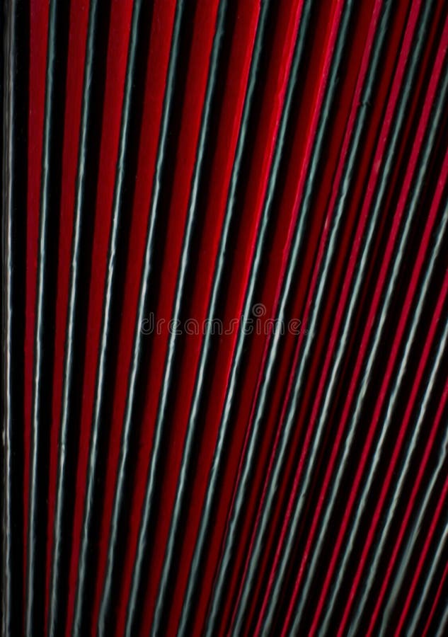 Accordion bellows stock image. Image of listen, texture - 46637419