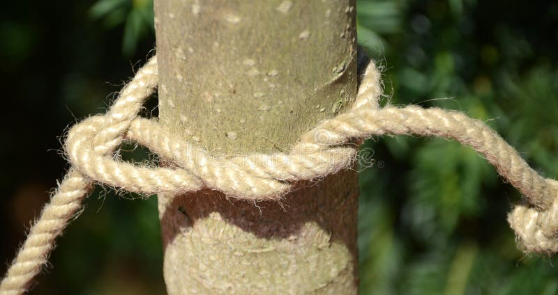 Accroc De Bois De Construction Image stock - Image du brun, isolement ...