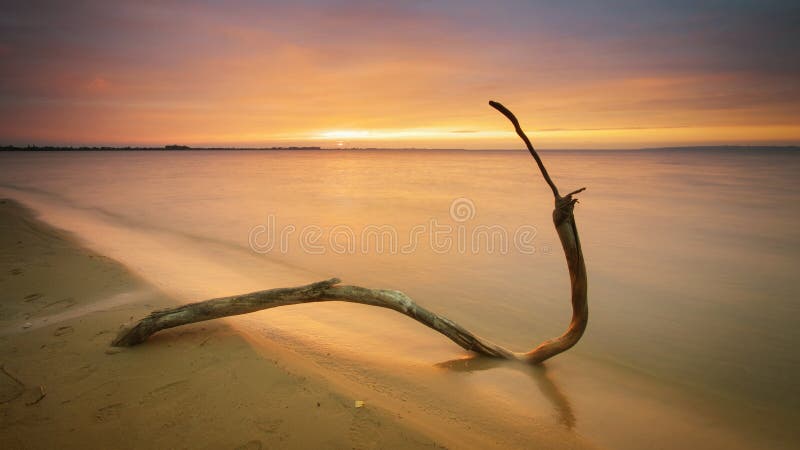 Accroc sur la plage photo stock. Image du compartiment - 54640860