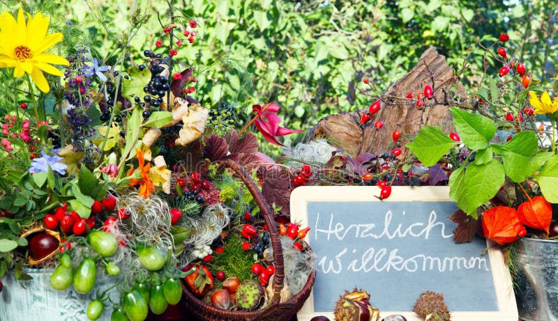 Accueil chaleureux photo stock. Image du caucasien, magnifique - 24823588