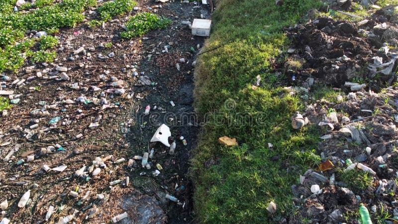 Accumulation of Plastic Particles on Human Skin. Impact of Plastic on ...