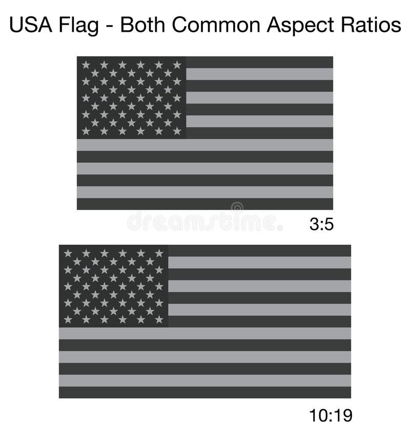 Accurate USA Flags Grayscale WBG Stock Vector - Illustration of stripes ...