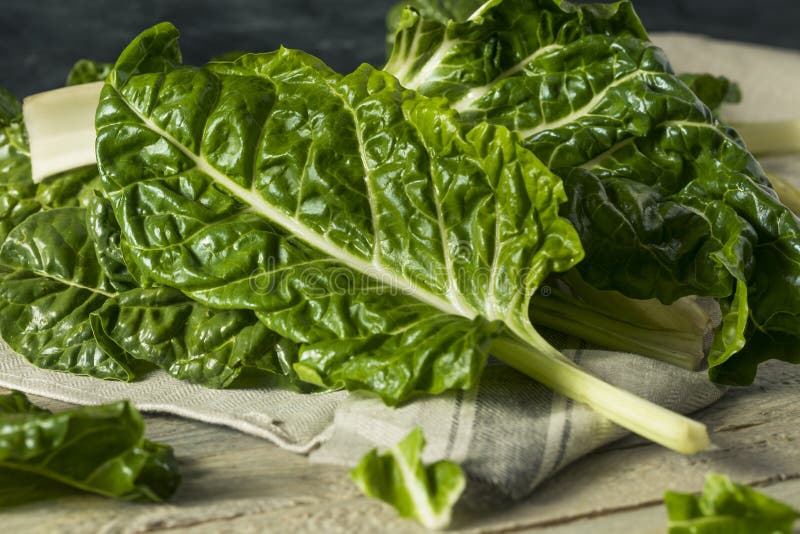 Acelga foto de stock. Imagem de verde, beterraba, chard - 22193562