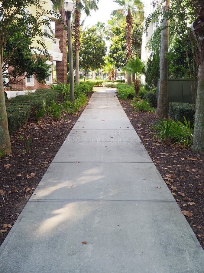 Textura Del Primer De La Acera Concreta Imagen de archivo - Imagen de ...