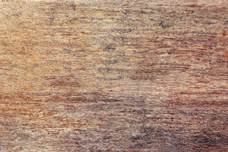Acercamiento De La Textura De Madera Imagen de archivo - Imagen de ...