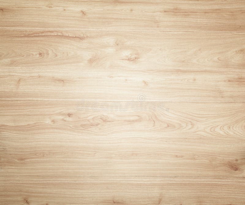 Acero del legno duro fotografia stock. Immagine di strutturato - 49879784