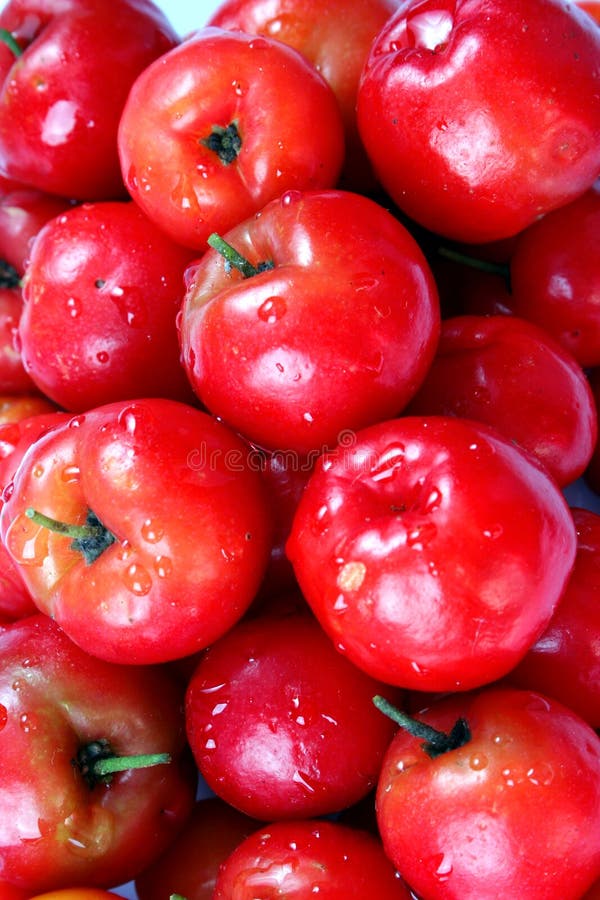 Acerola stock image. Image of acerola, juice, glabra, cereso - 9126253