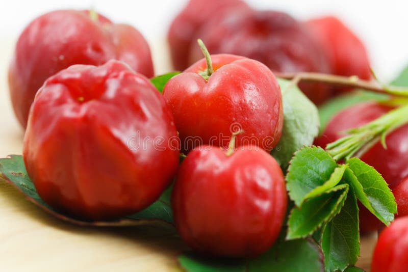 Acerola Small Cherry Fruit with High Quantity C Vi Stock Image - Image ...