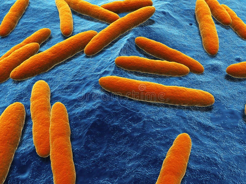 Bruised skin texture stock photo. Image of inflammation - 3145948