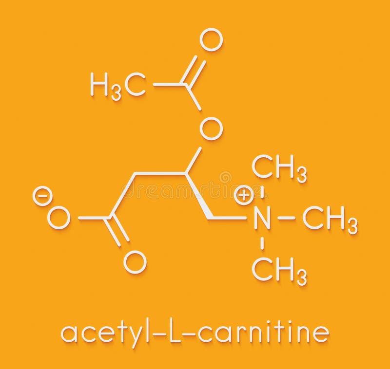Acetylcarnitine ALCAR Nutritional Supplement Molecule. Skeletal Formula ...