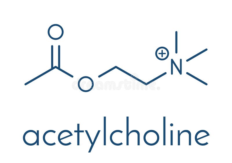 Acetylchloline ACh Neurotransmitter Molecule. Skeletal Formula. Stock ...