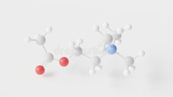 Acetylcholine Molecule 3d, Molecular Structure, Ball and Stick Model ...