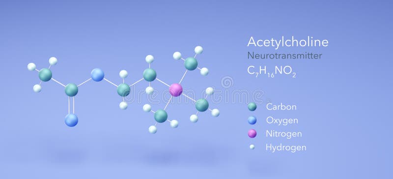 Acetylcholine Molecule, Molecular Structures, Neurotransmitter, 3d ...