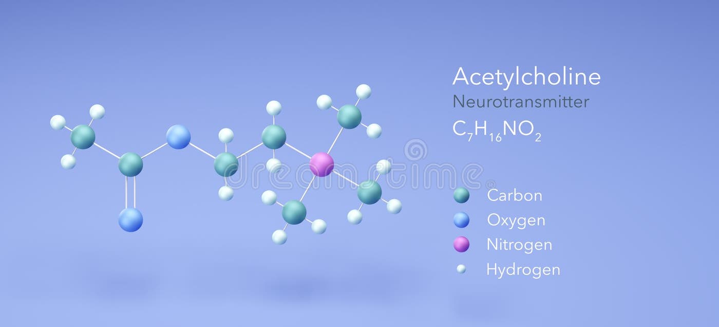 Acetylcholine Molecule Chemical Structure Stock Photos - Free & Royalty ...