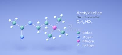 Acetylcholine Molecule, Molecular Structures, Neurotransmitter, 3d ...