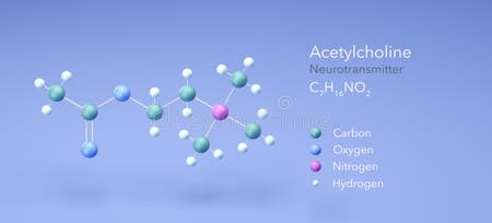Acetylcholine Molecule, Molecular Structures, Neurotransmitter, 3d ...