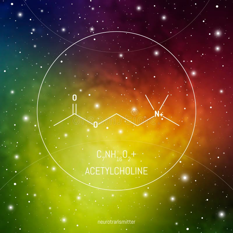 Acetylcholine Molecule, Structural Chemical Formula, Ball-and-stick ...
