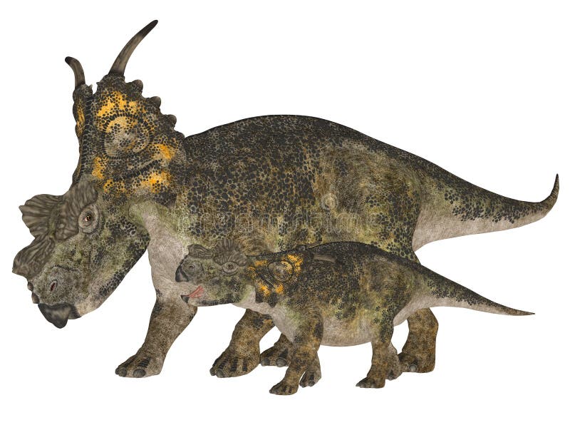 Achelousaurus Adulto E Novo Ilustração Stock - Ilustração de época ...