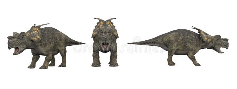 Achelousaurus. Dinosaur Isolate on White Stock Illustration ...