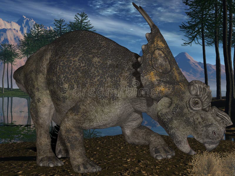 Achelousaurus - Dinosauro 3D Illustrazione di Stock - Illustrazione di ...